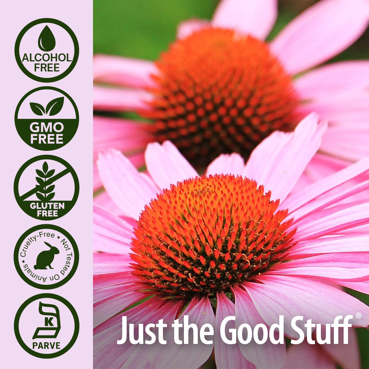 nature's answer echinacea for overall health