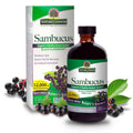 Nature's Answer elderberry extract benefits