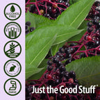 Nature's Answer elderberry extract spray