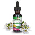 Nature's Answer Eyebright herb extract