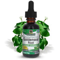 Nature's Answer Goldenseal root extract