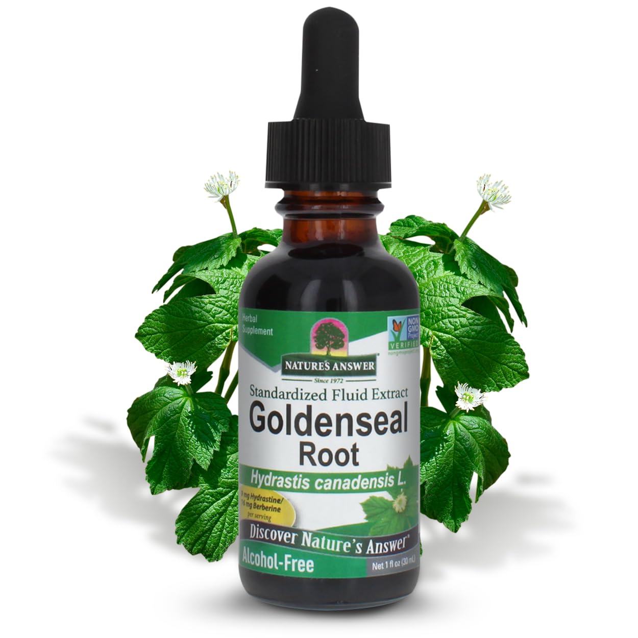 Nature's Answer Goldenseal root extract