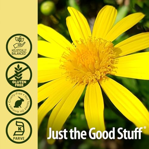 nature's answer herbal immune booster