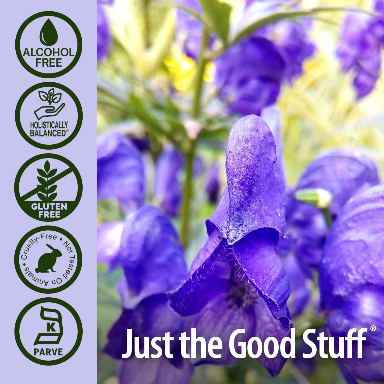 Nature's Answer herbal wellness solution