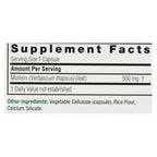 Nature's Answer mullein for natural wellness