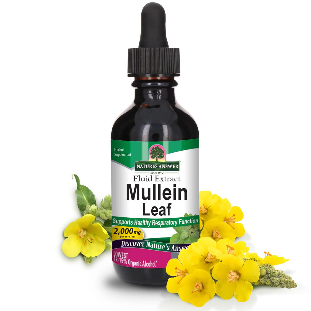 Nature's Answer Mullein Leaf extract