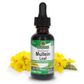 Nature's Answer Mullein Leaf extract