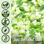 Nature's Answer quercetin for seasonal relief