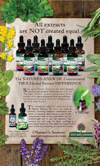Nature's Answer Schisandra for vitality