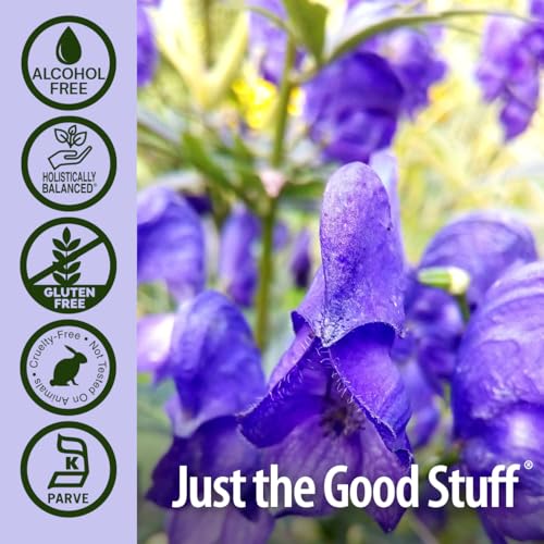 Nature's Answer Skullcap liquid supplement