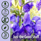 Nature's Answer Skullcap liquid supplement