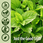 Nature's Answer sleep blend benefits