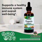 Nature's Answer superfood propolis resin