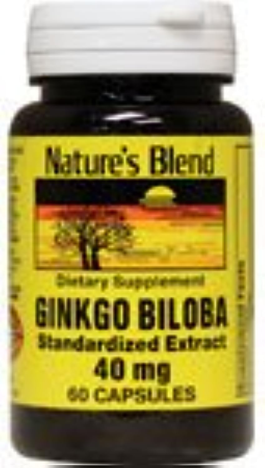 Nature's Blend Ginkgo Biloba capsules