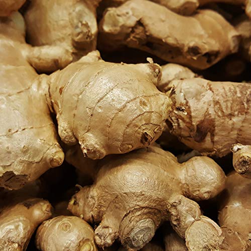 nature's ginger extract for everyday use