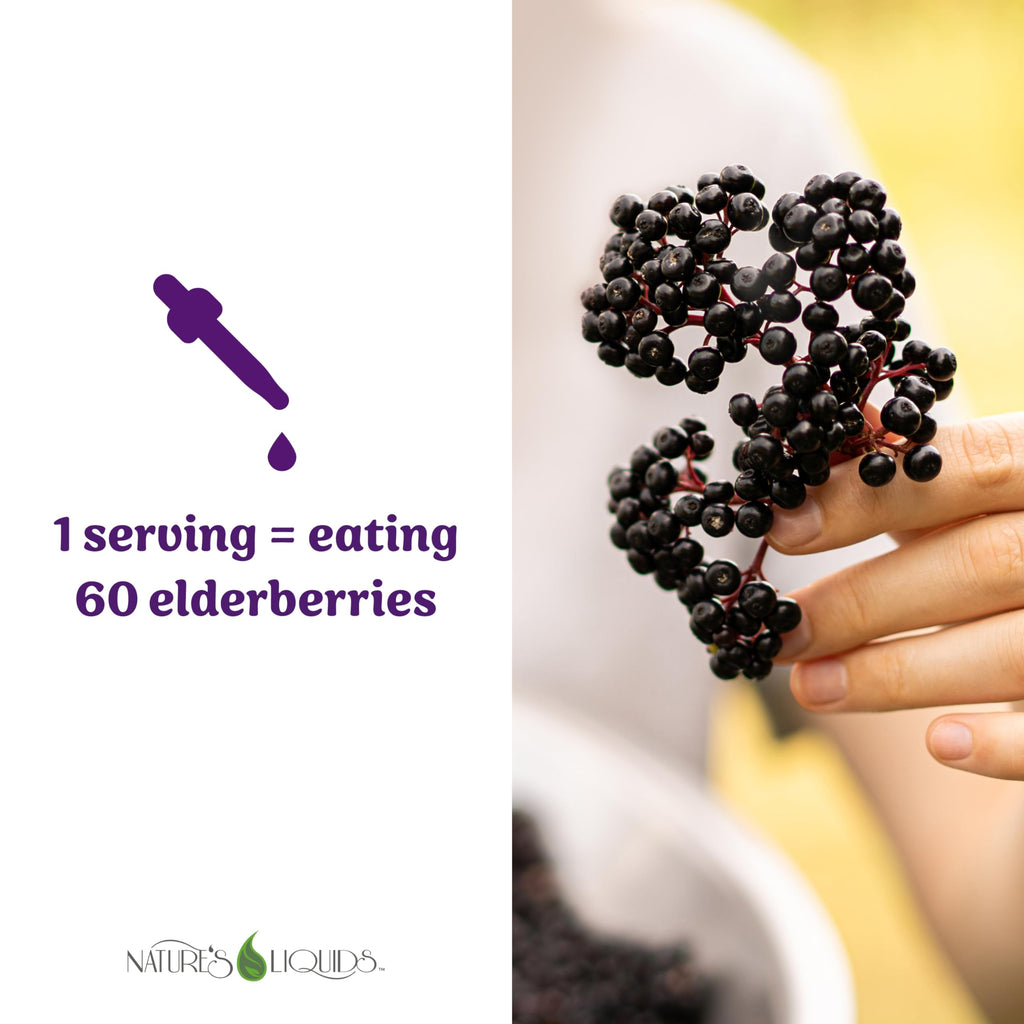 nature's liquids elderberry health benefits