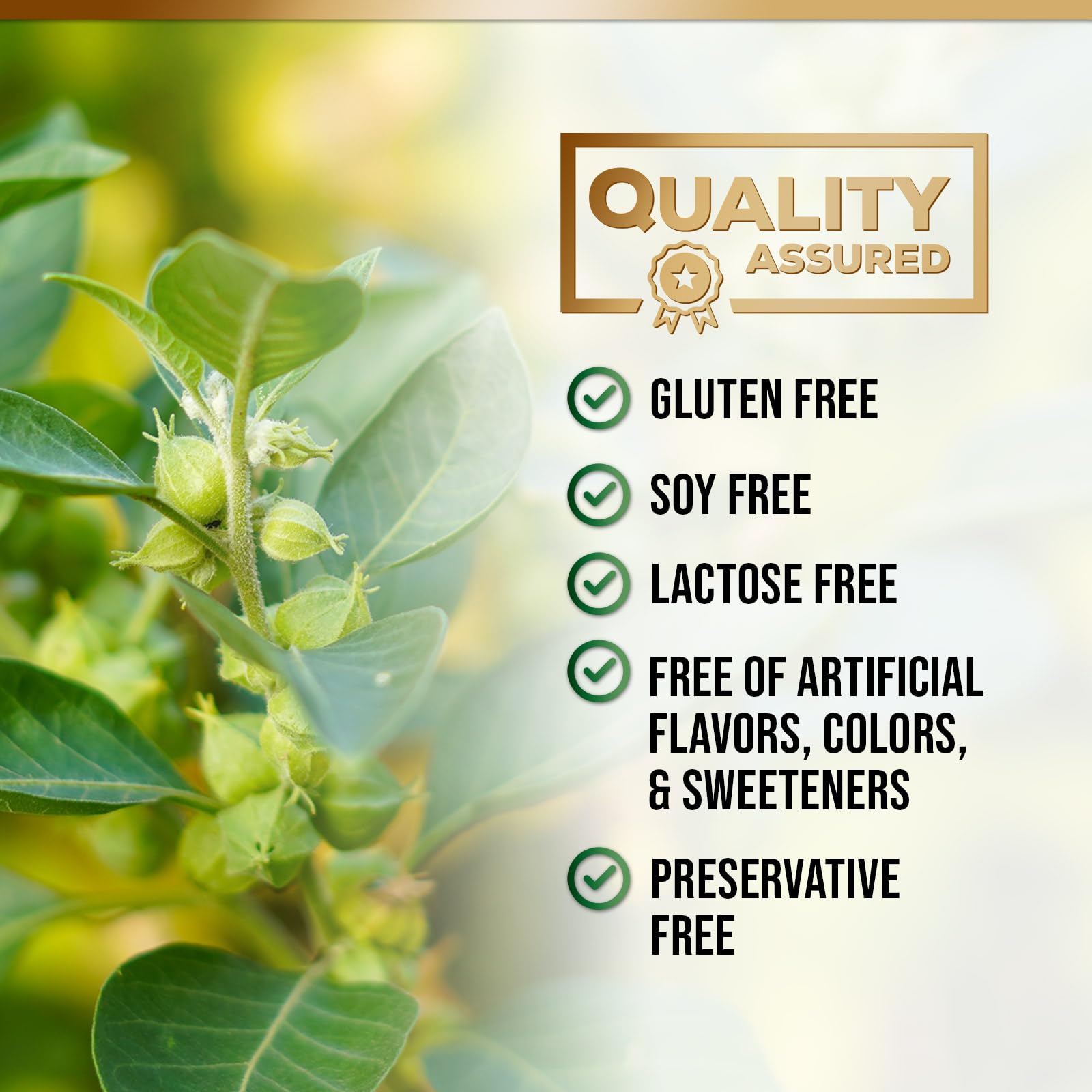 nature's nutrition adrenal extracts