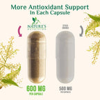 Nature's Nutrition antioxidant formula