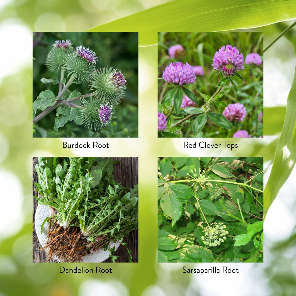 Nature's Sunshine herbal capsules for vitality