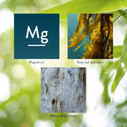 Nature's Sunshine magnesium for stress relief