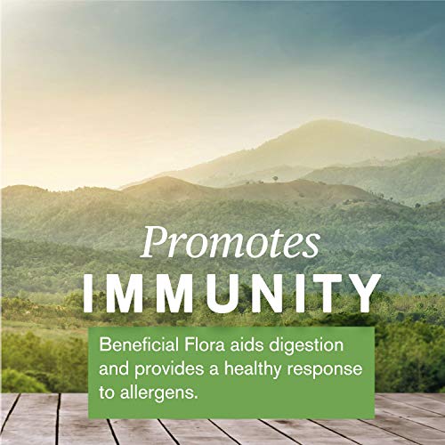 Nature's Sunshine probiotic for bloating relief