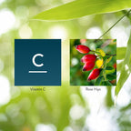 Nature's Sunshine vitamin C for daily health