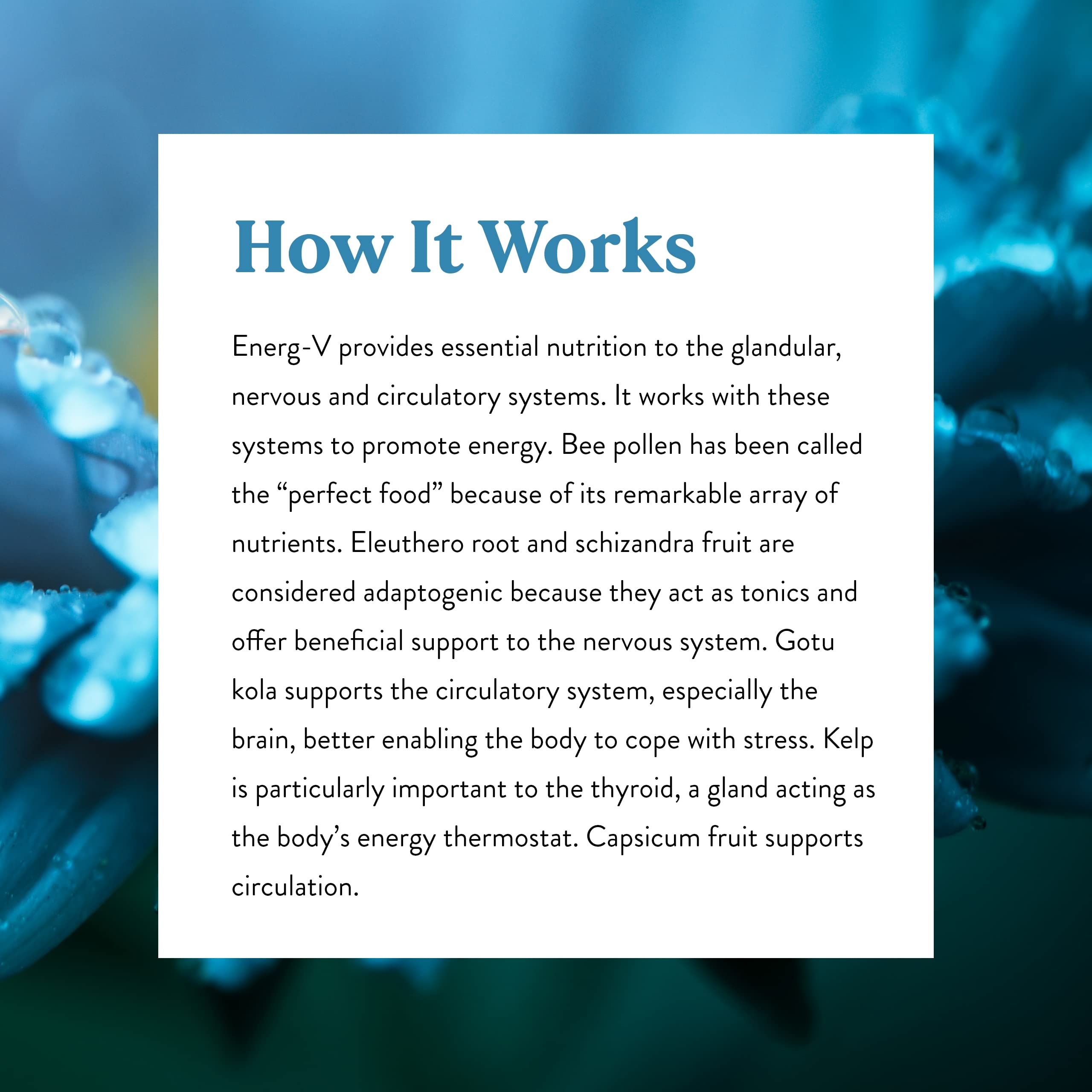 Nature's Sunshine vitamins for active living