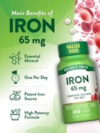 Nature's Truth iron for daily wellness