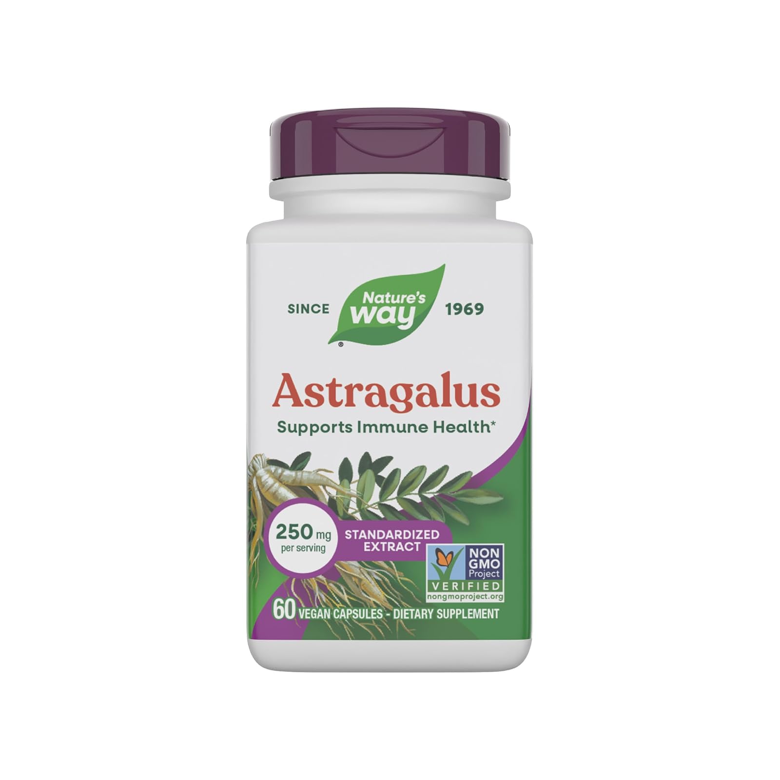 Nature's Way astragalus premium extract
