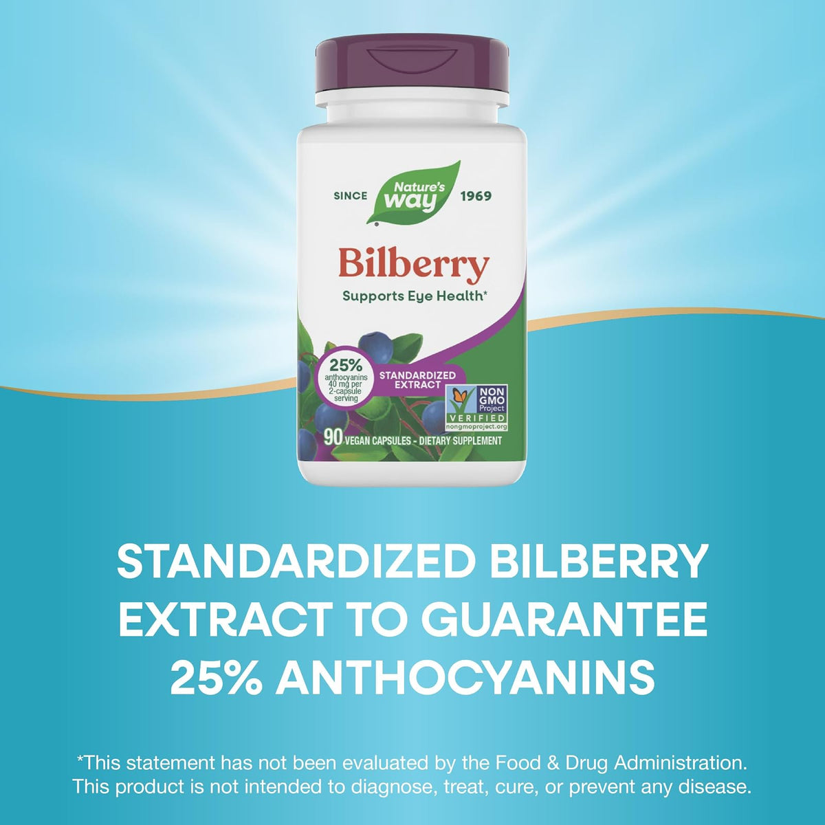Nature's Way Bilberry antioxidant benefits