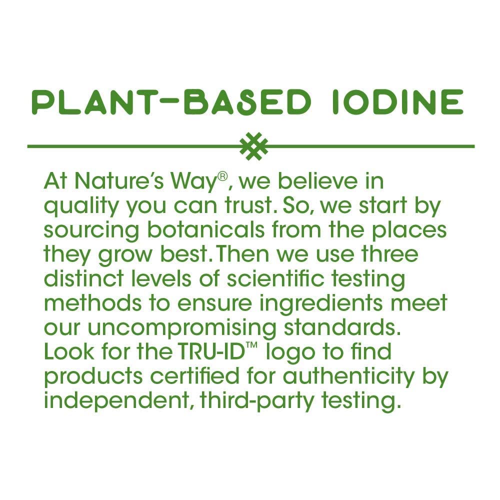 Nature's Way blended supplements for everyday health
