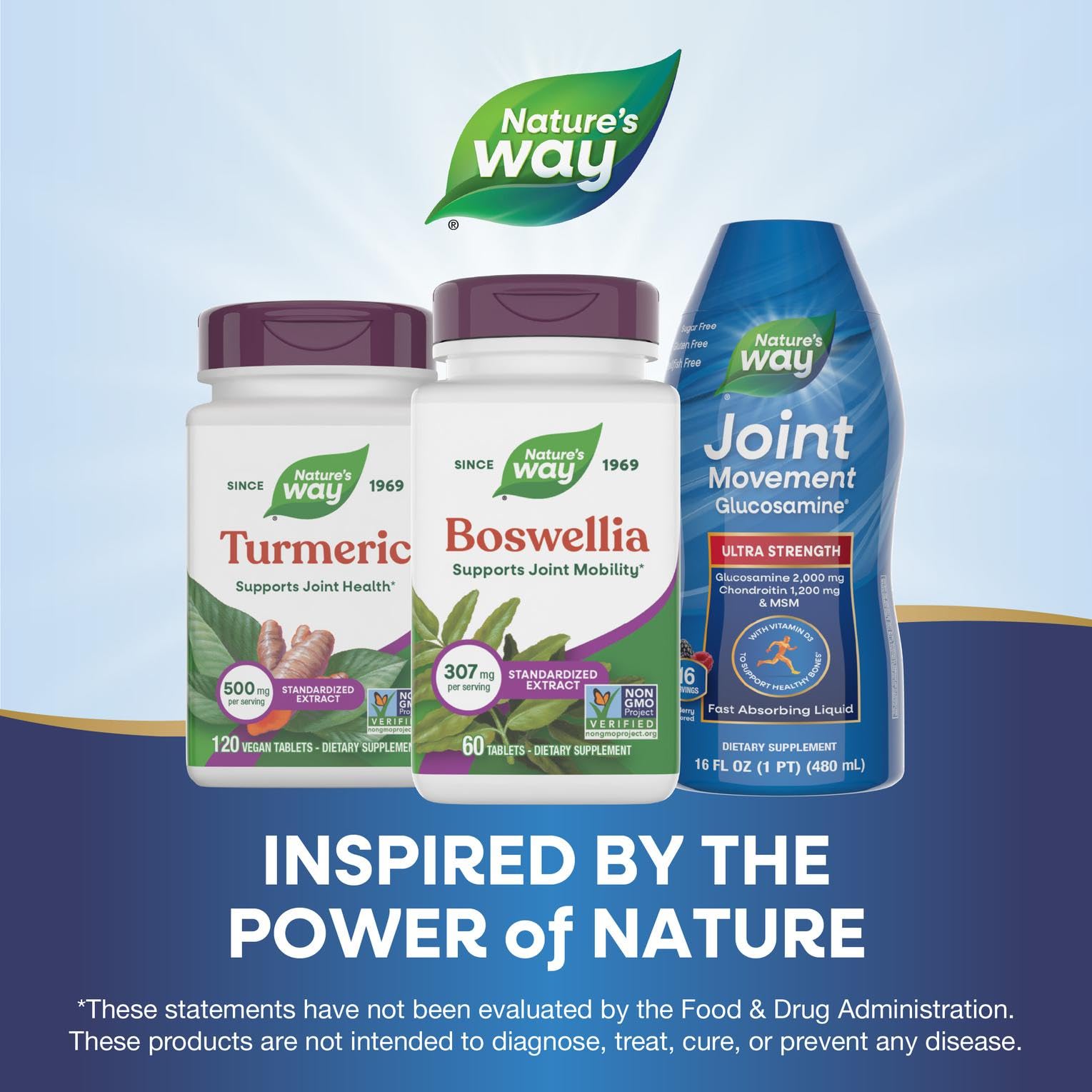 Nature's Way Boswellia dietary supplement