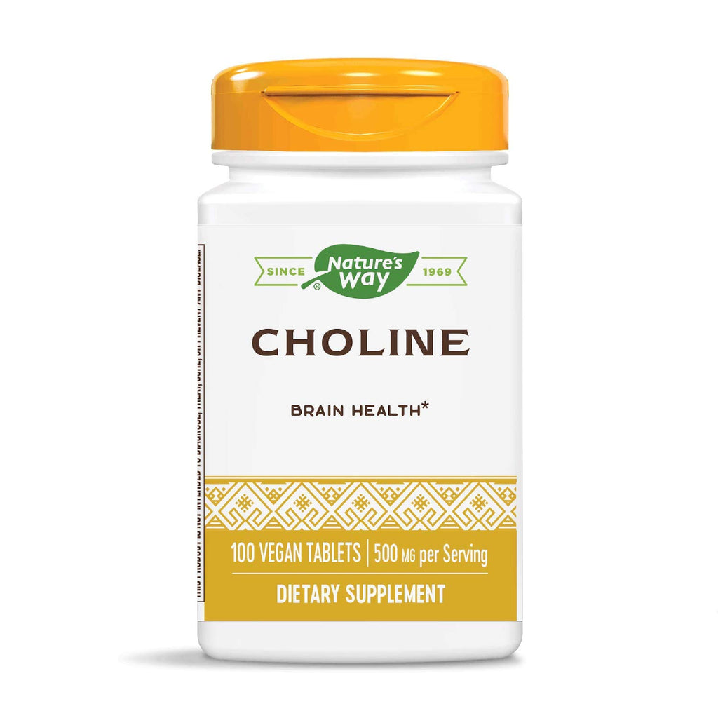 Nature's Way Choline 500 mg tablets