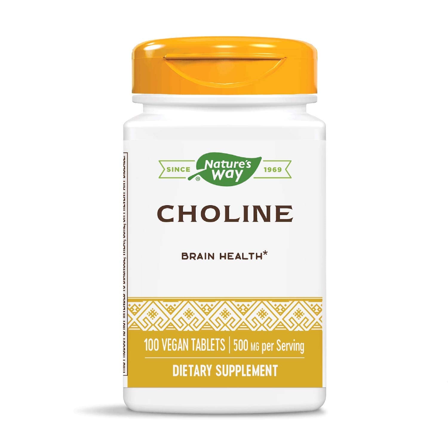 Nature's Way Choline 500 mg tablets