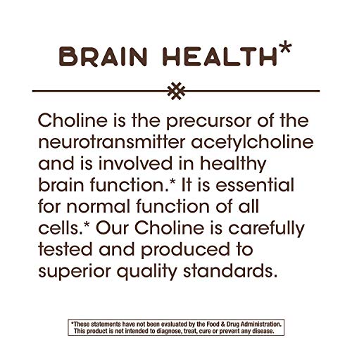 Nature's Way Choline for energy support