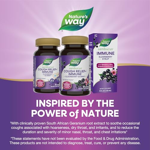 Nature's Way cold & flu remedy