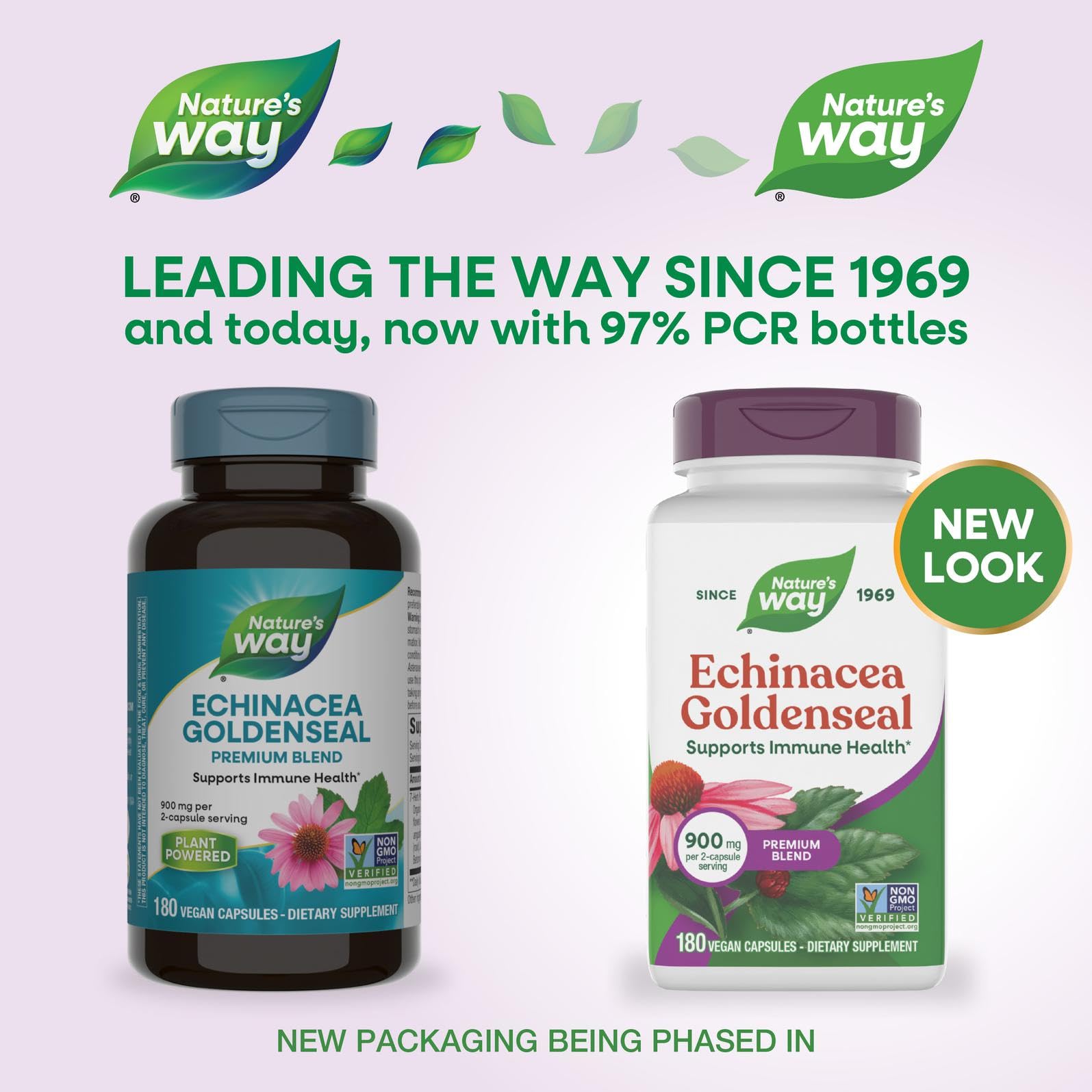 Nature's Way echinacea for seasonal wellness