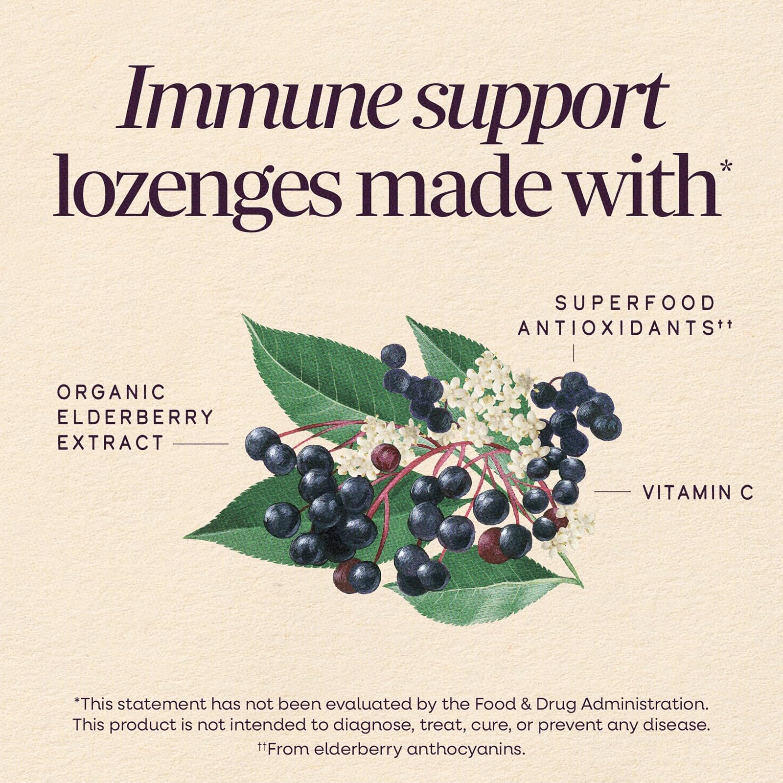 Nature's Way elderberry flavor lozenges