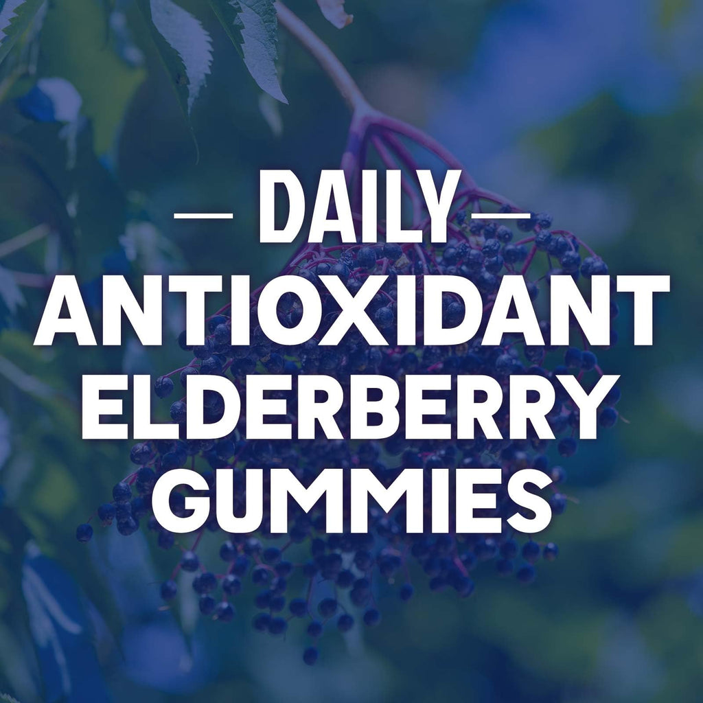 Nature's Way elderberry gummies for antioxidants