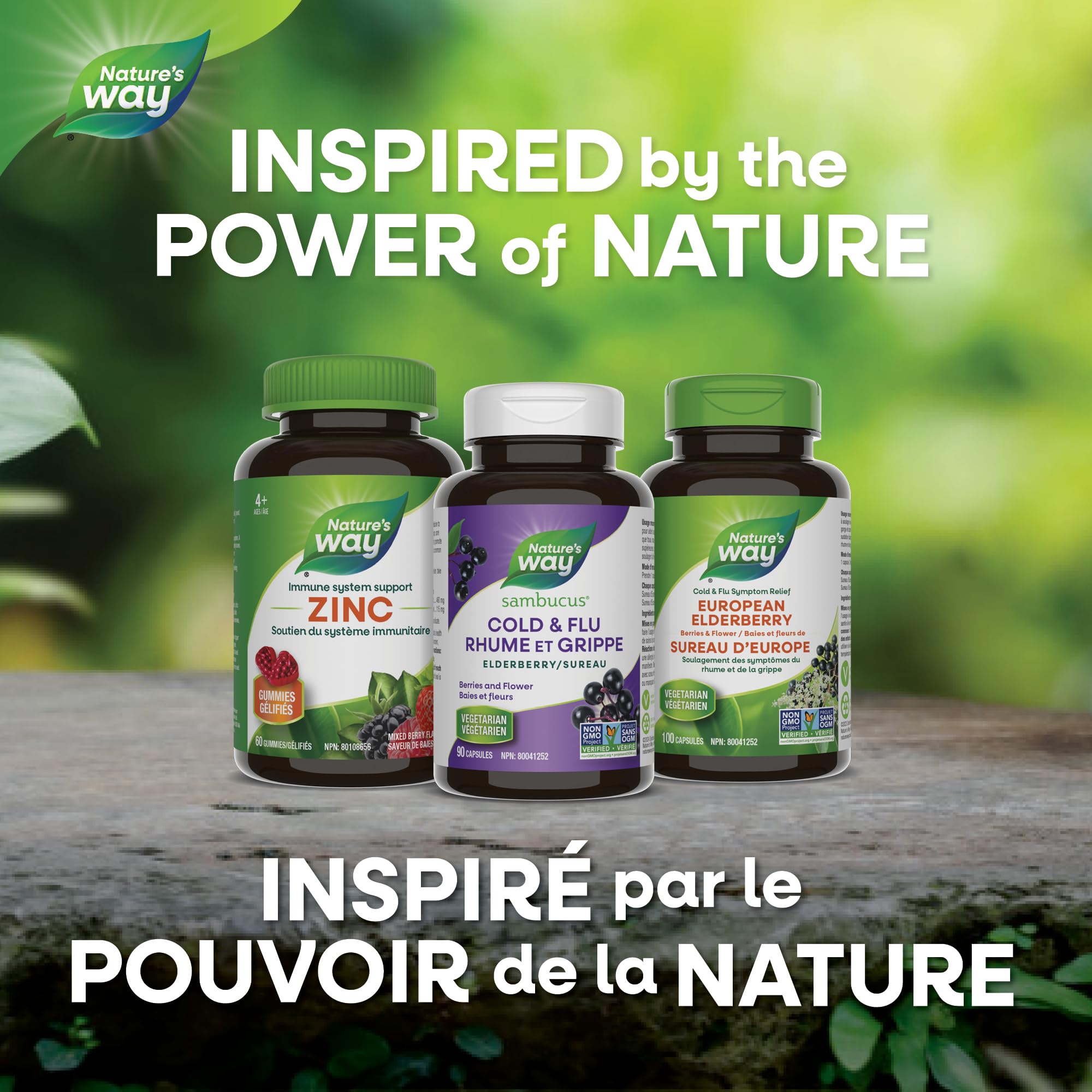 Nature's Way elderberry immune booster