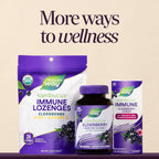Nature's Way elderberry syrup alternative