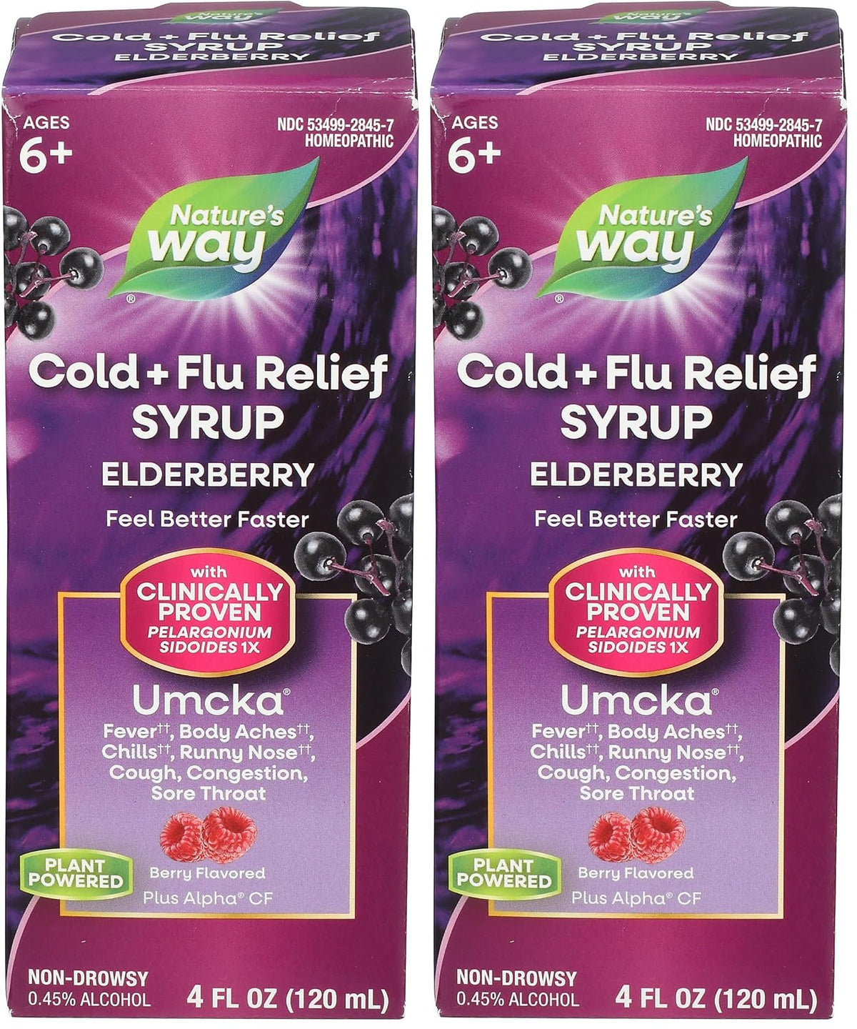 Nature's Way elderberry syrup benefits