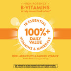 Nature's Way energy support formula