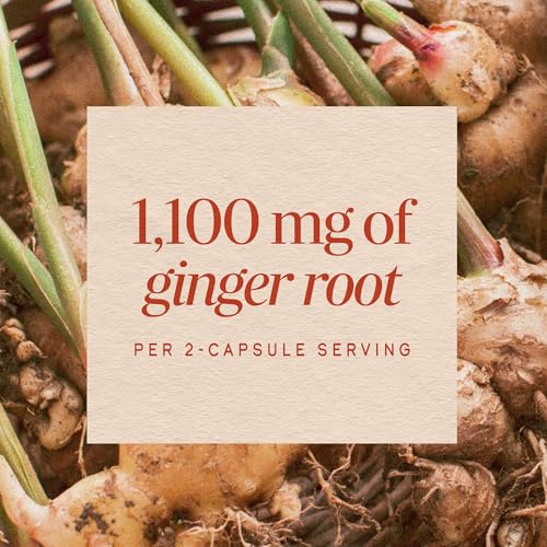 Nature's Way ginger for healthy digestion