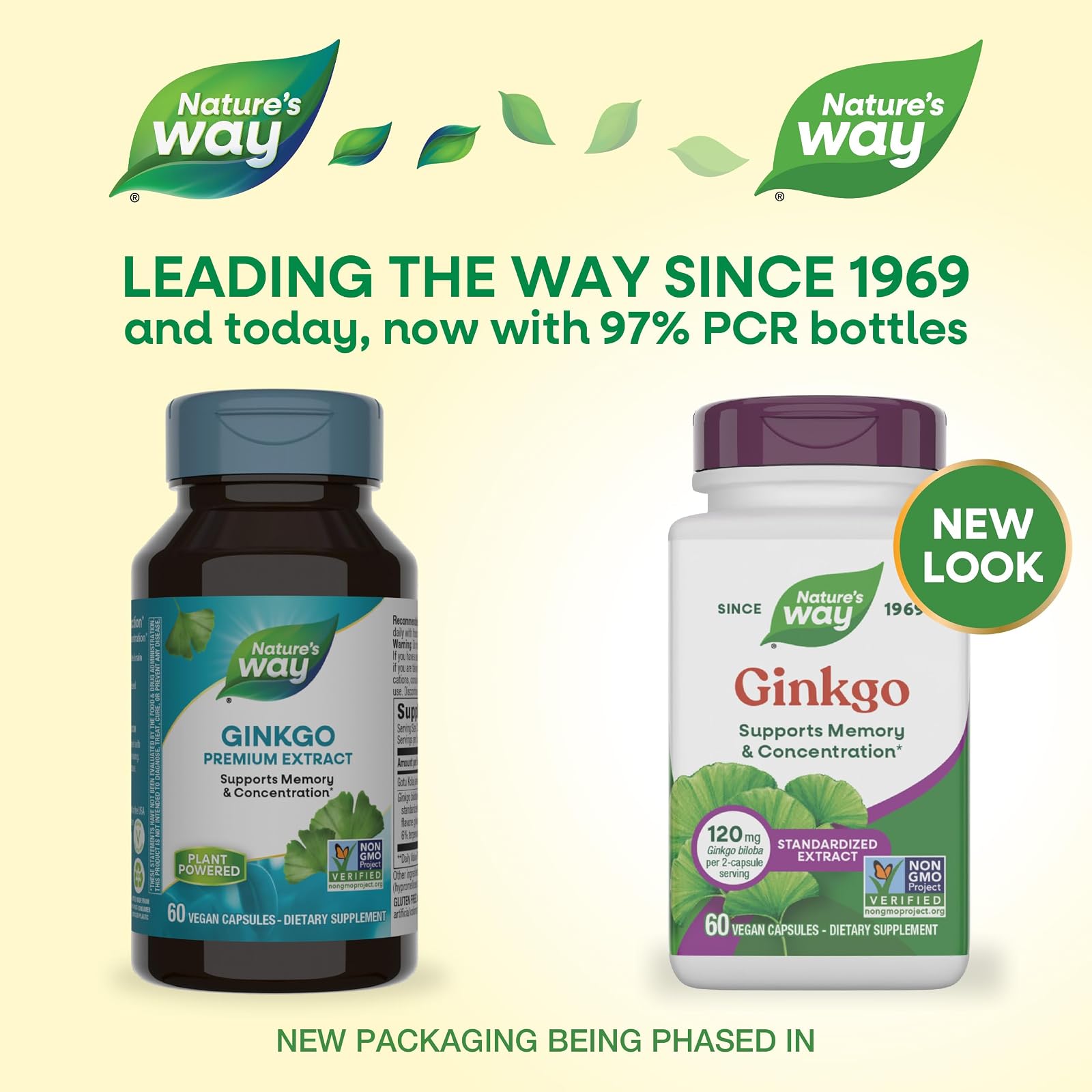 Nature's Way ginkgo biloba 120 mg benefits