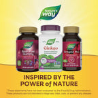 Nature's Way ginkgo biloba herbal remedy