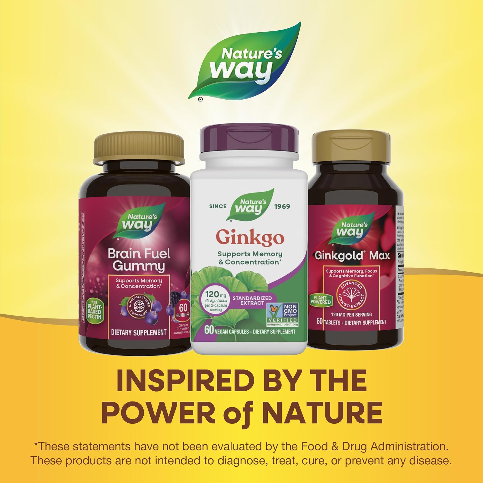 Nature's Way ginkgo biloba herbal remedy
