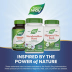 Nature's Way herbal immune booster