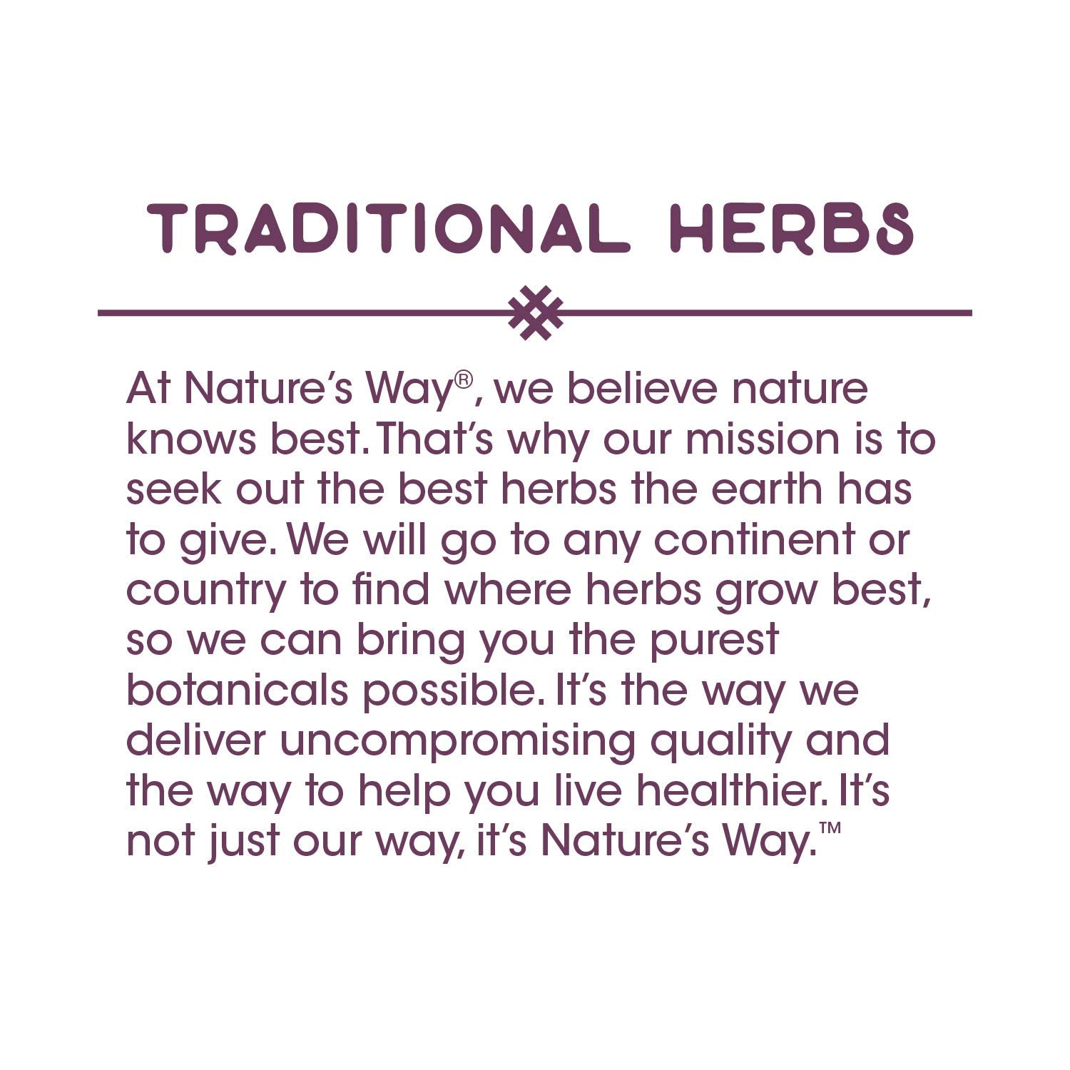 Nature's Way herbal kidney support
