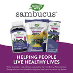 Nature's Way honey lemon lozenges